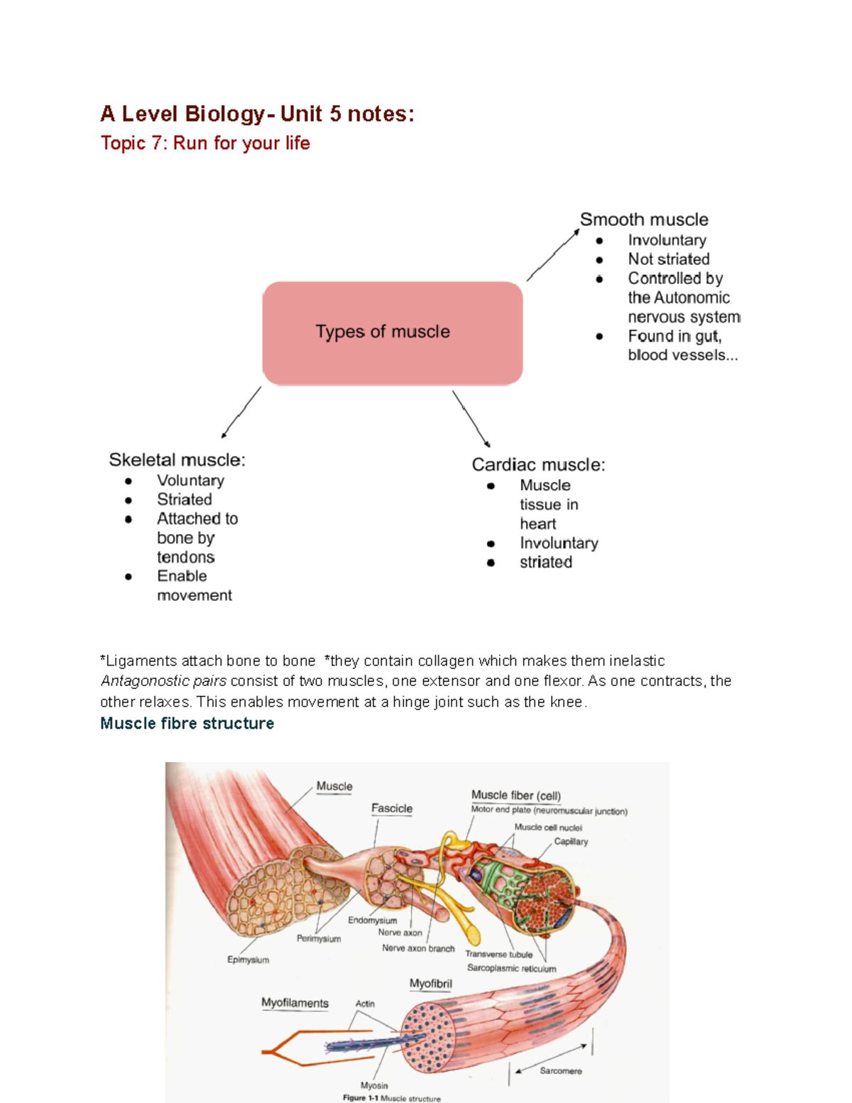 A Level Biology- Unit 5 notes - A Level Biology- Unit 5 notes: Topic 7 ...