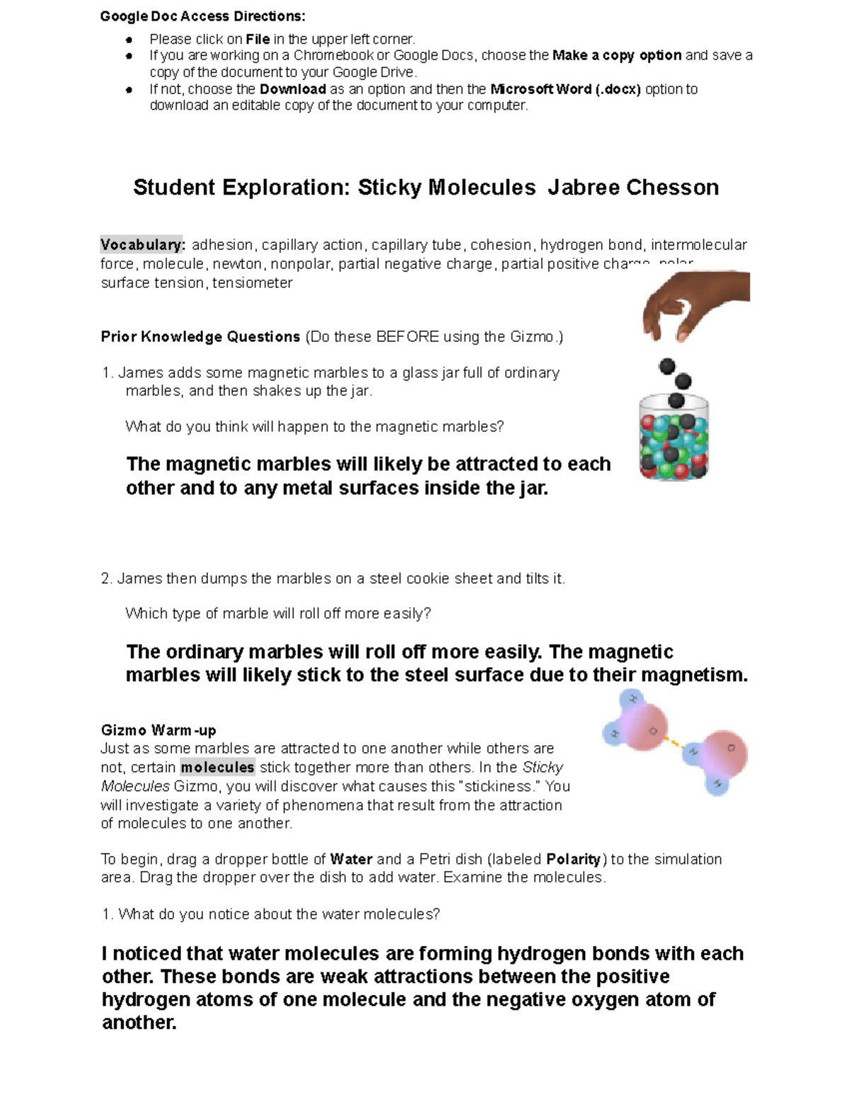 Copy of Earth Env Science-M3L1Activity - Google Doc Access Directions ...