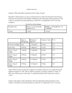 Lab Report Reaction Rate Lab - During this experiment we actively tried ...
