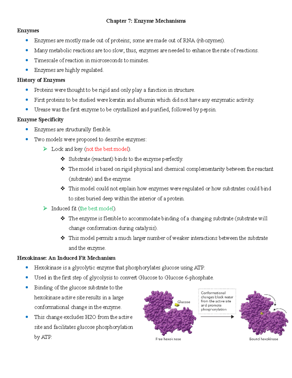 CH7 Summary - Chapter 7: Enzyme Mechanisms Enzymes Enzymes are mostly ...