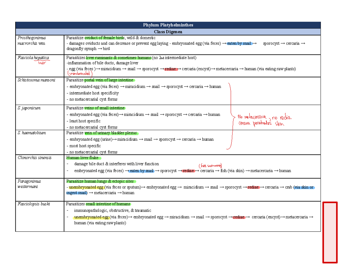 Parasite Summary 2 - Instructor: Paul Sharp - Phylum Platyhelminthes Class Digenea ...