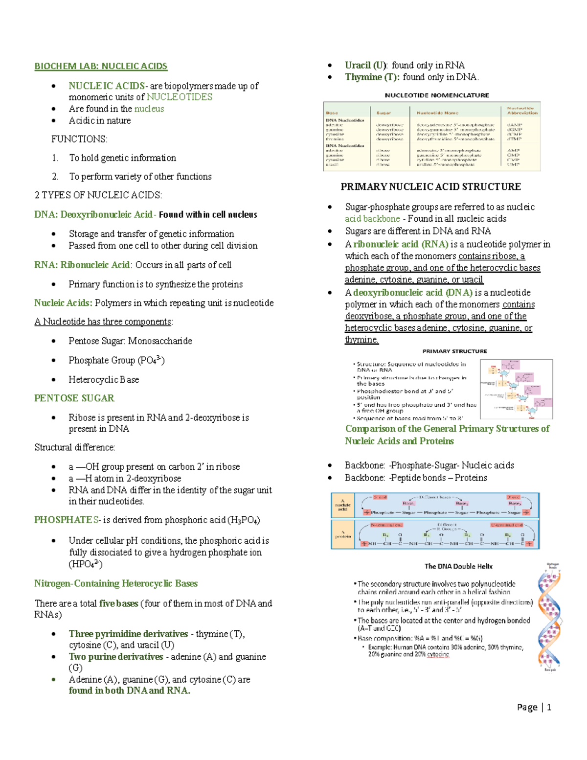 Biochemlab Nucleic Acids - BIOCHEM LAB: NUCLEIC ACIDS NUCLEIC ACIDS ...