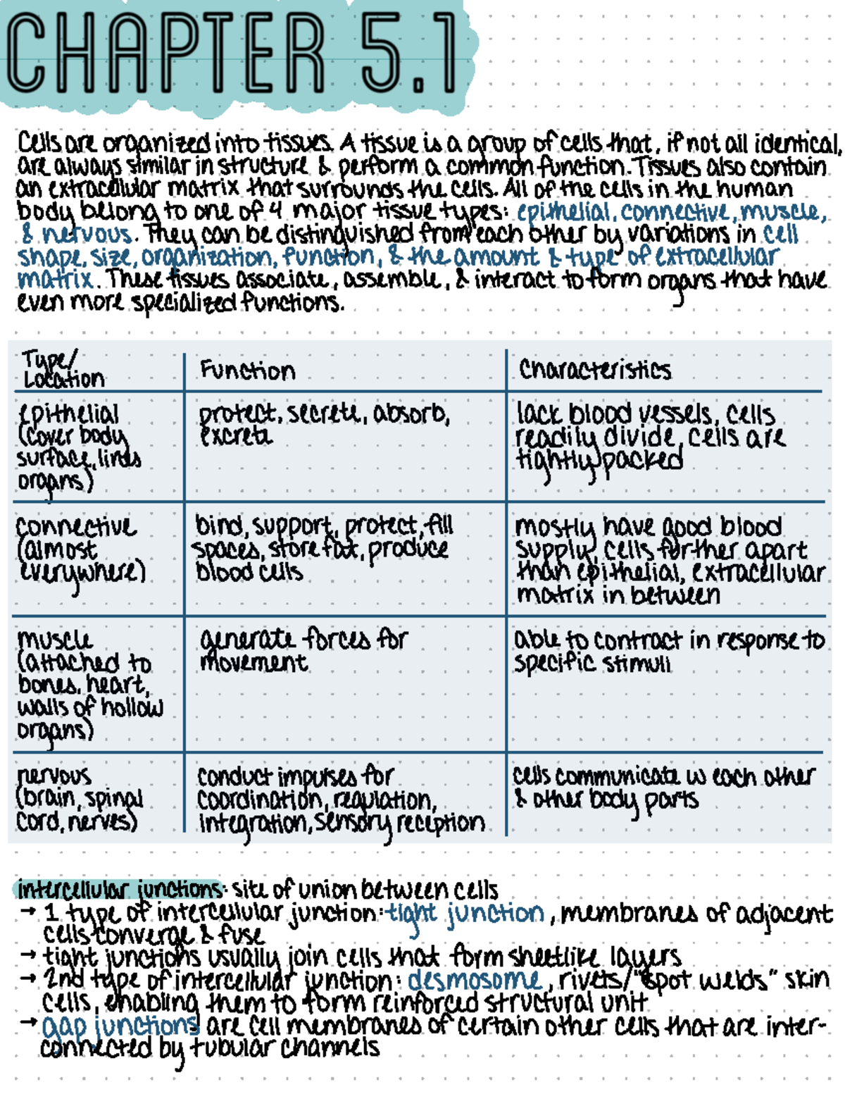 Chapter 5 Tissues - Book: Hole’s Anatomy and Physiology by Charles ...