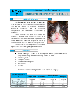 274 Fluidoterapia y cálculo de dosis - NM27 4 CLÍNICA DE PEQUEÑOS ...