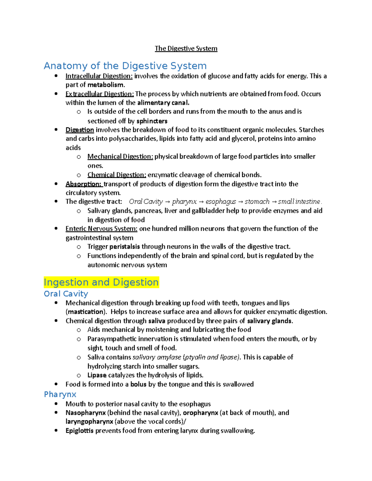 Chapter 9 The Digestive System - The Digestive System Anatomy of the ...