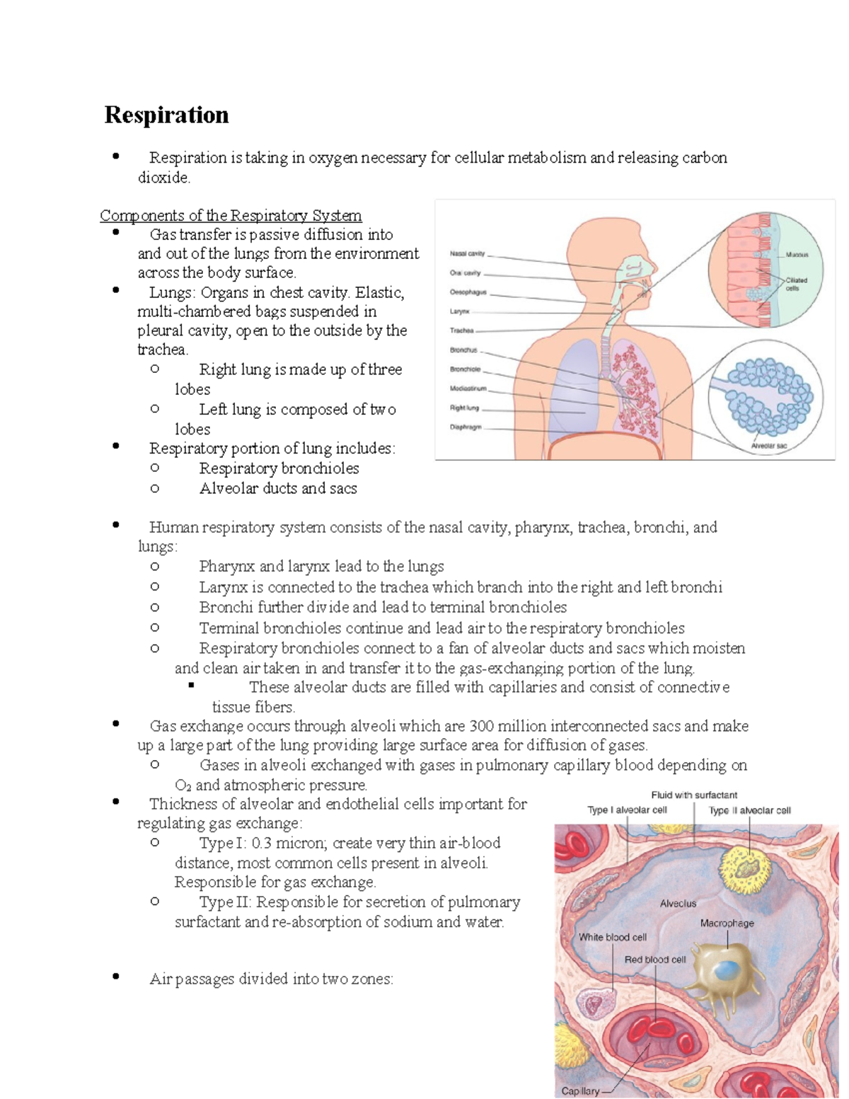 W11 - Respiration, breathing, gas exchange - Respiration - Studocu