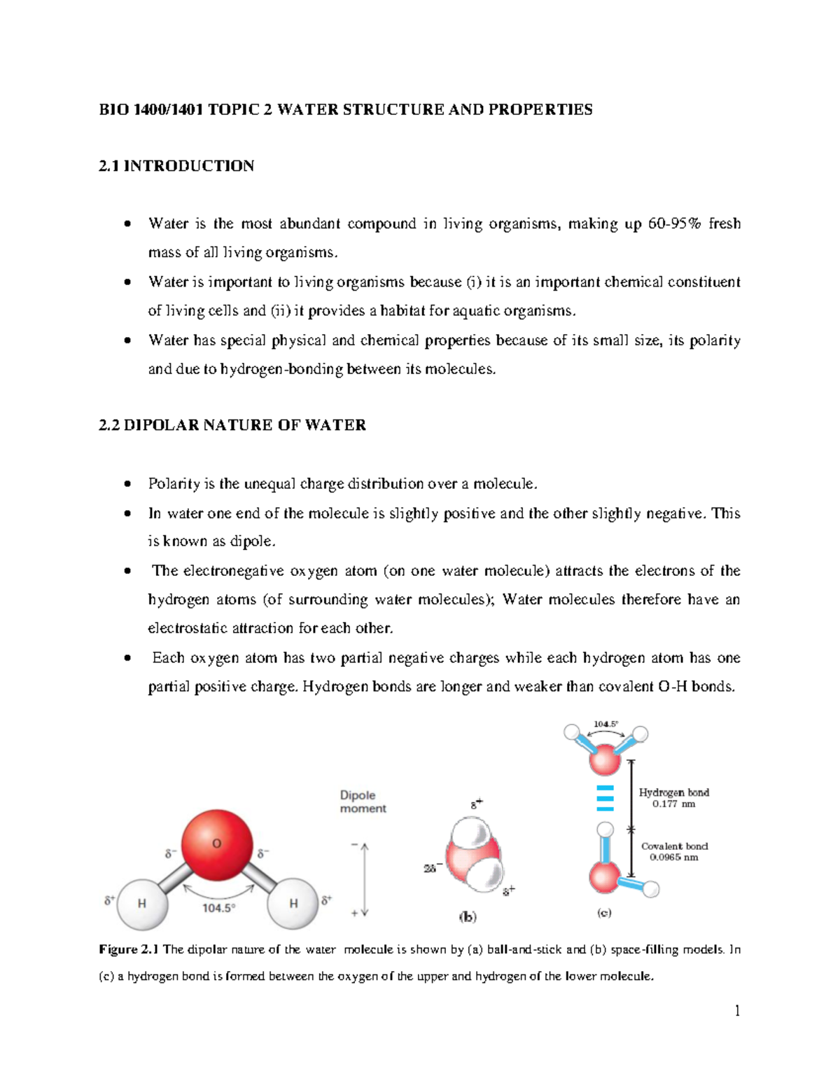 Topic 2 Water Structure and Properties - BIO 1400/1401 TOPIC 2 WATER ...