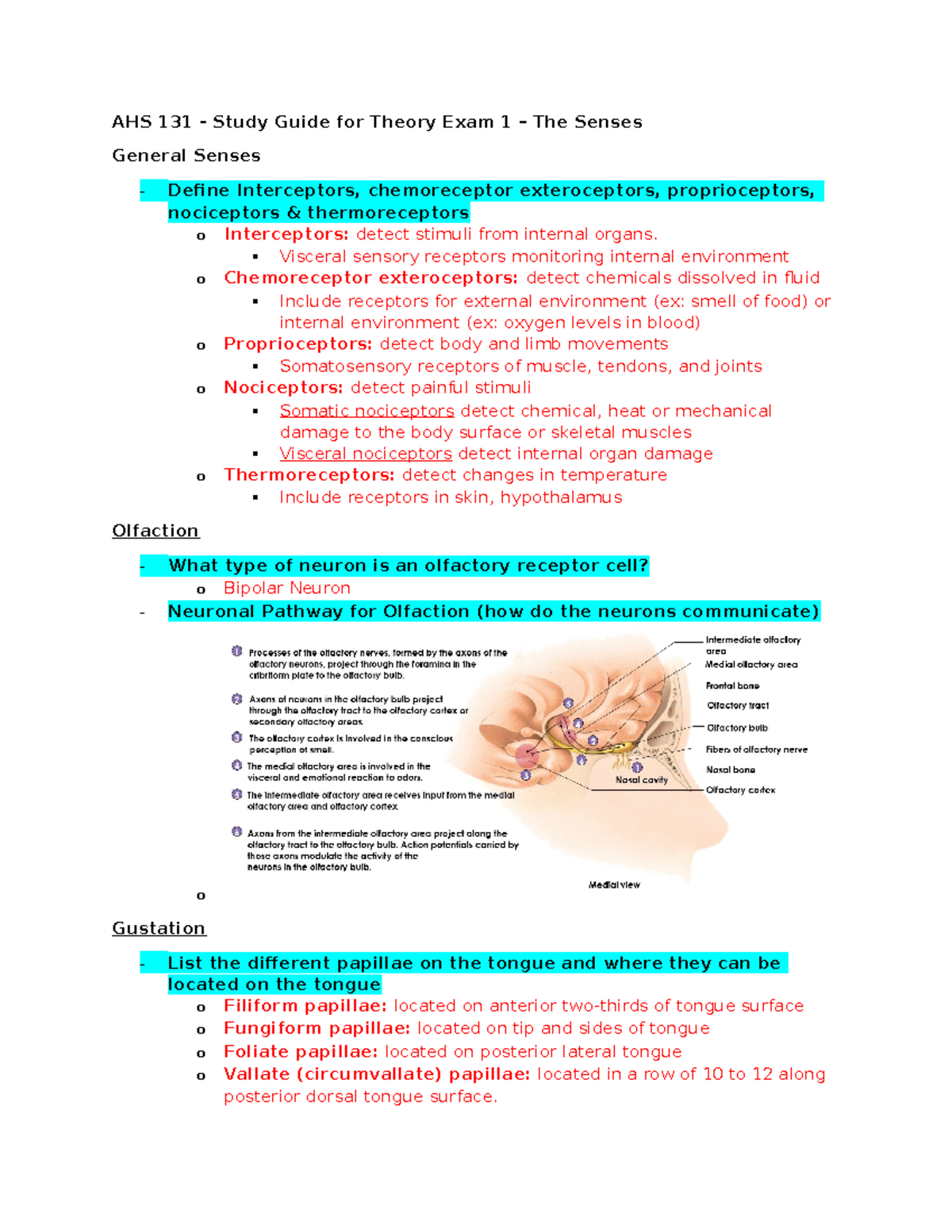 AHS 131 - Study Guide for Theory Exam 1 – The Senses - AHS 131 - Study ...