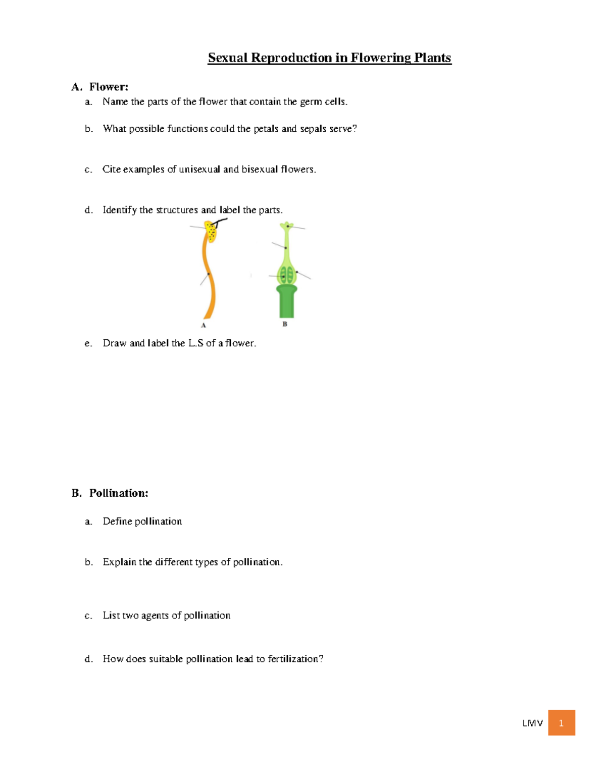 Grade 10 Biology L- 9 Sexual Reproduction in Flowering Plants worksheet ...