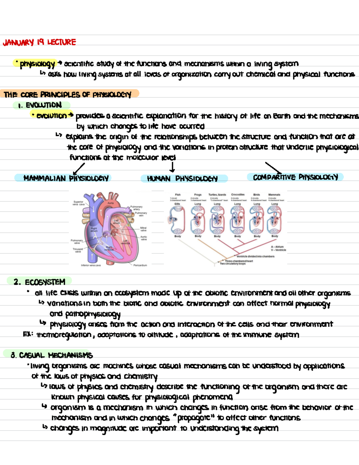 Mammalian Physiology - Intro to Physiology - ####### JANUARY 19 LECTURE ...