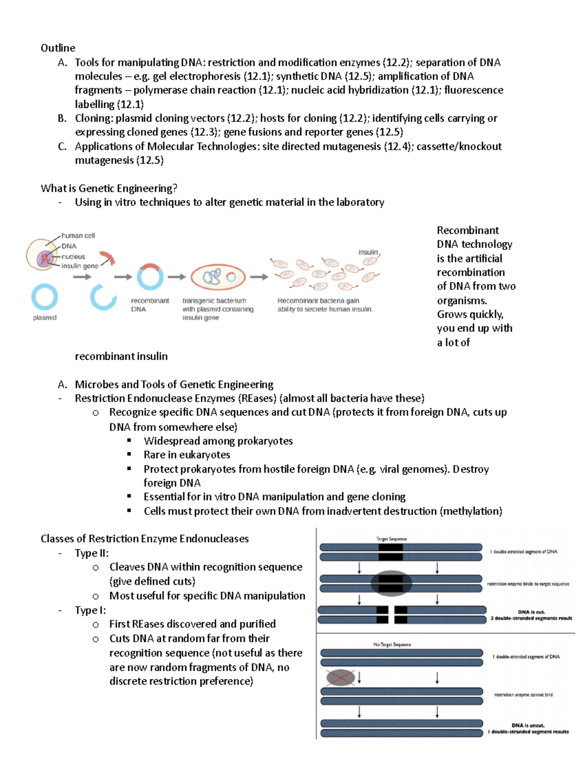 Backup of bmsc 210 - Dr. Harold Bull - Outline A. Tools for manipulaing ...