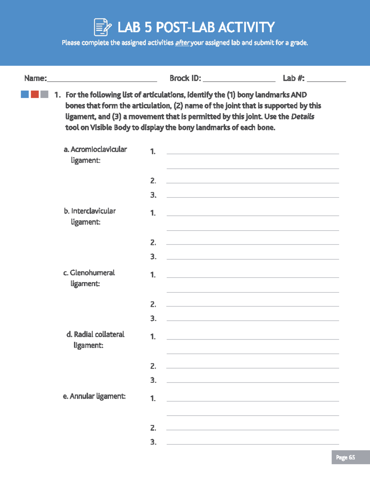 KINE 1P98 - Lab 5 - Post Lab Activity - KINE 1P98 - Studocu