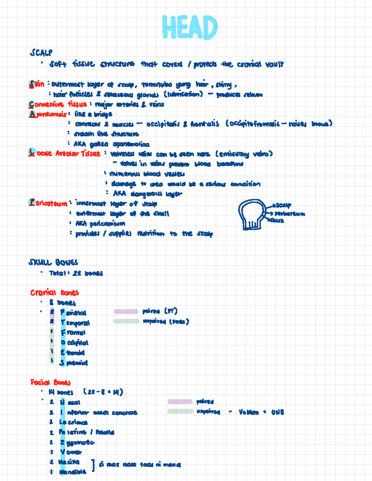 Head, Neck, Spine Anatomy and Conditions - SCALP - soft tissue ...