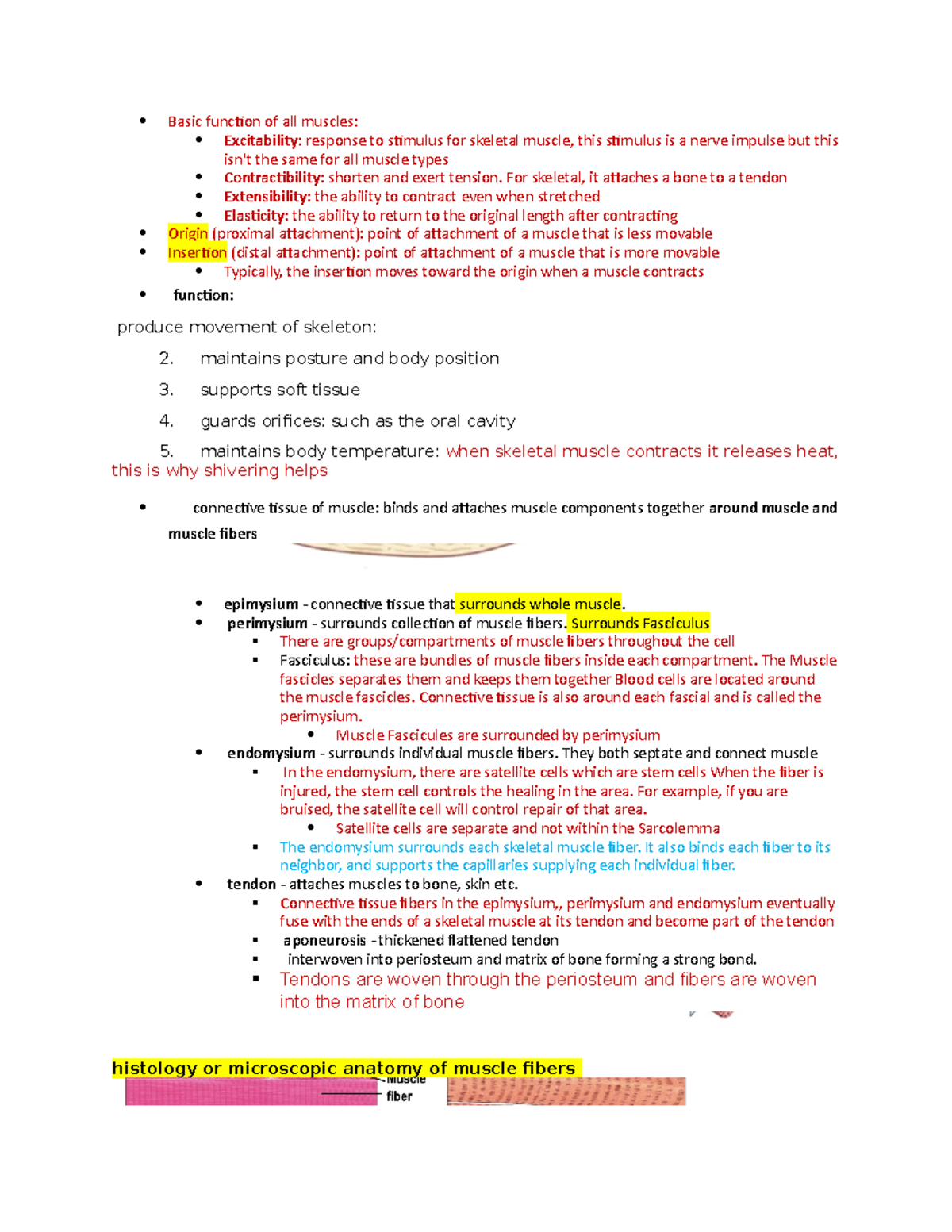 Muscles - Study Guide - Basic function of all muscles: Excitability ...