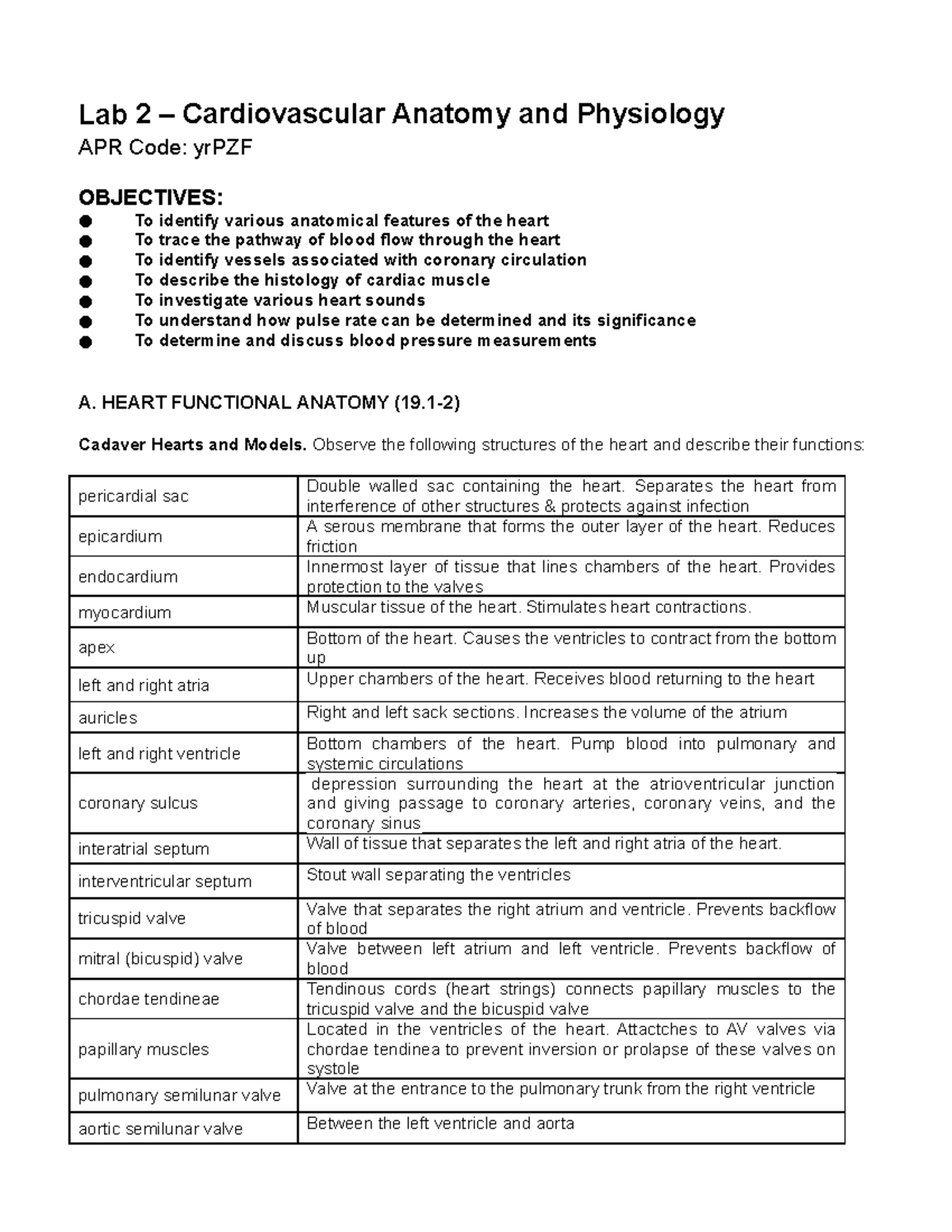 Unit 2 Lab 2 - Cardiovascular Anatomy and Physiology - Lab 2 ...