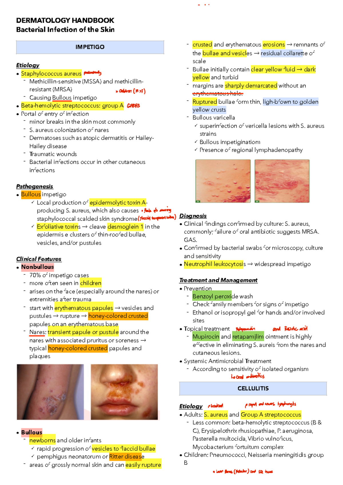 Bacterial Diseases of the skin - Bacterial Infection of the Skin ...