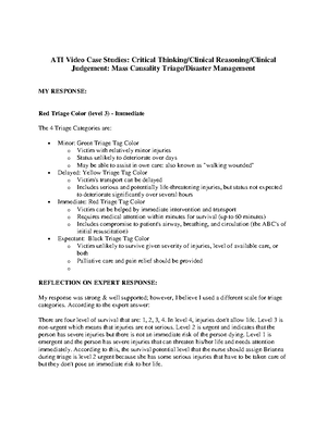 System Disorder - Seizures - ACTIVE LEARNING TEMPLATES System Disorder ...