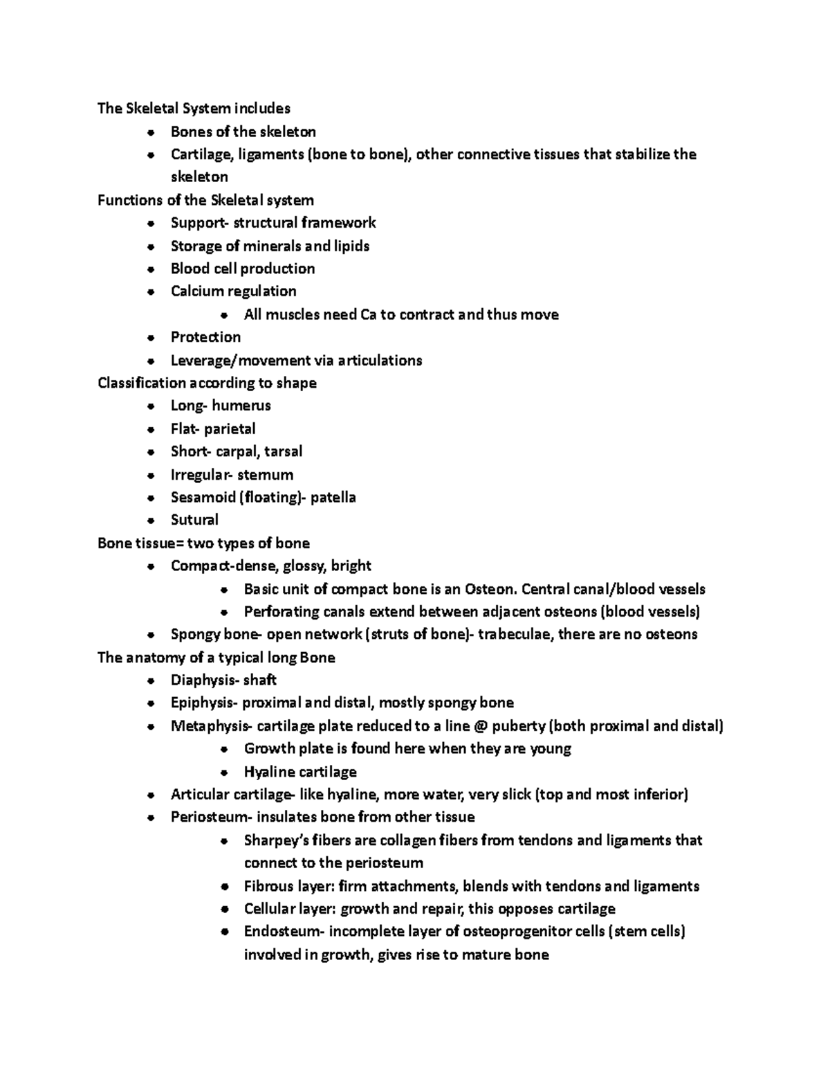 Anatomy Notes - The Skeletal System includes Bones of the skeleton ...