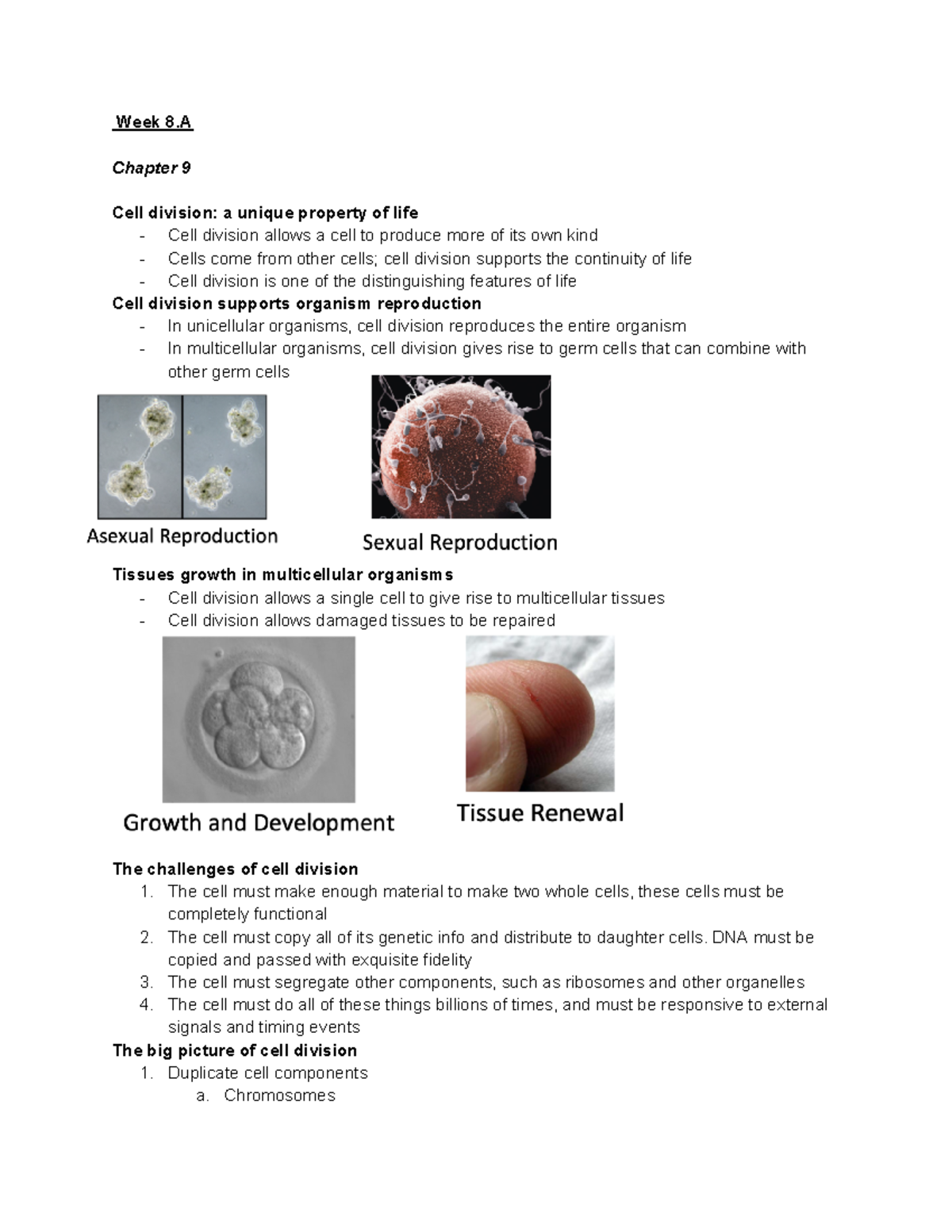 Unit 3 Life 120 - unit 3 notes - Week 8 Chapter 9 Cell division: a ...