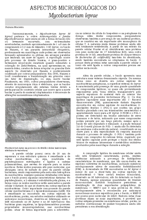 Interim monkeypox virus fact sheet - Monkeypox Virus – Interim Fact ...