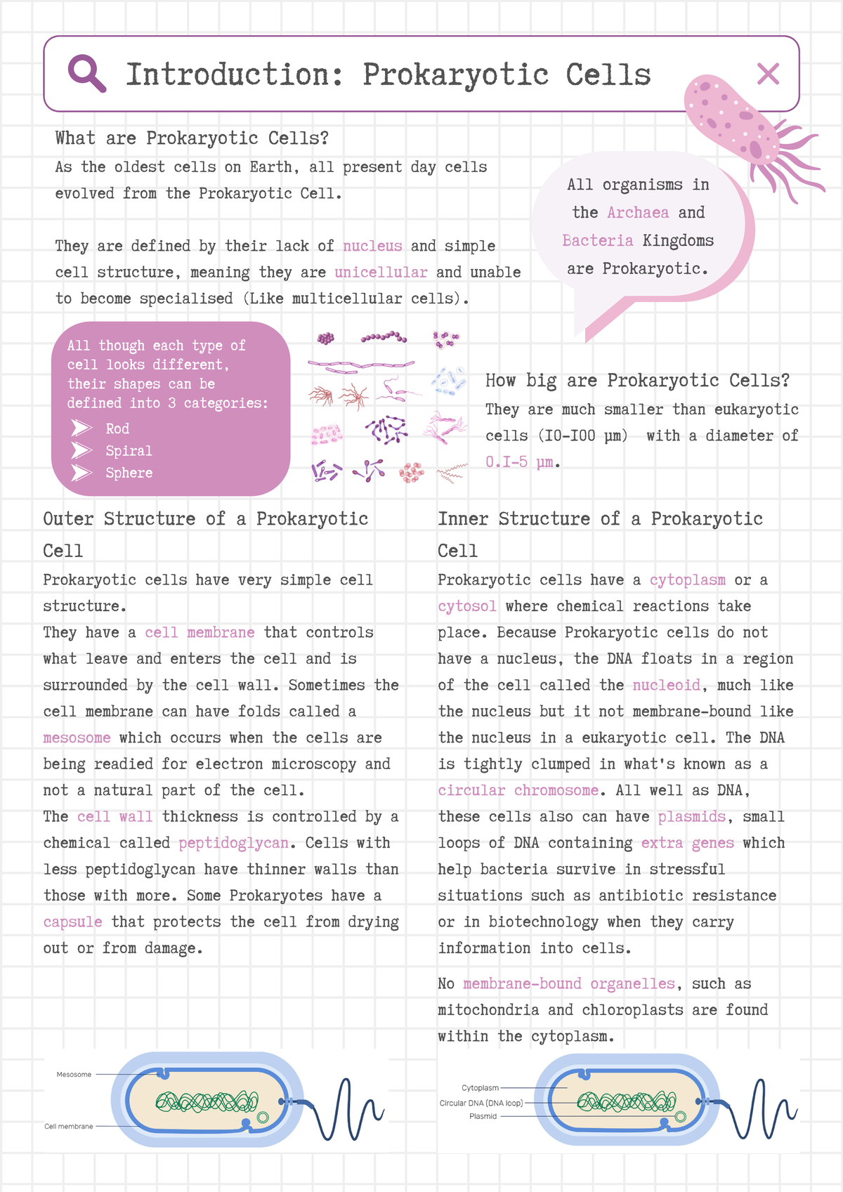 Year 11 Module 1 - Biology Notes - All though each type of cell looks ...