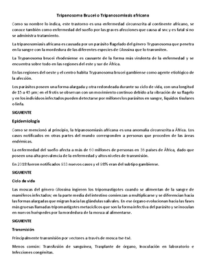 Repaso Tercer Examen DE Practica - qwertyuiopasdfghjklzxcvbnmqwerty ...