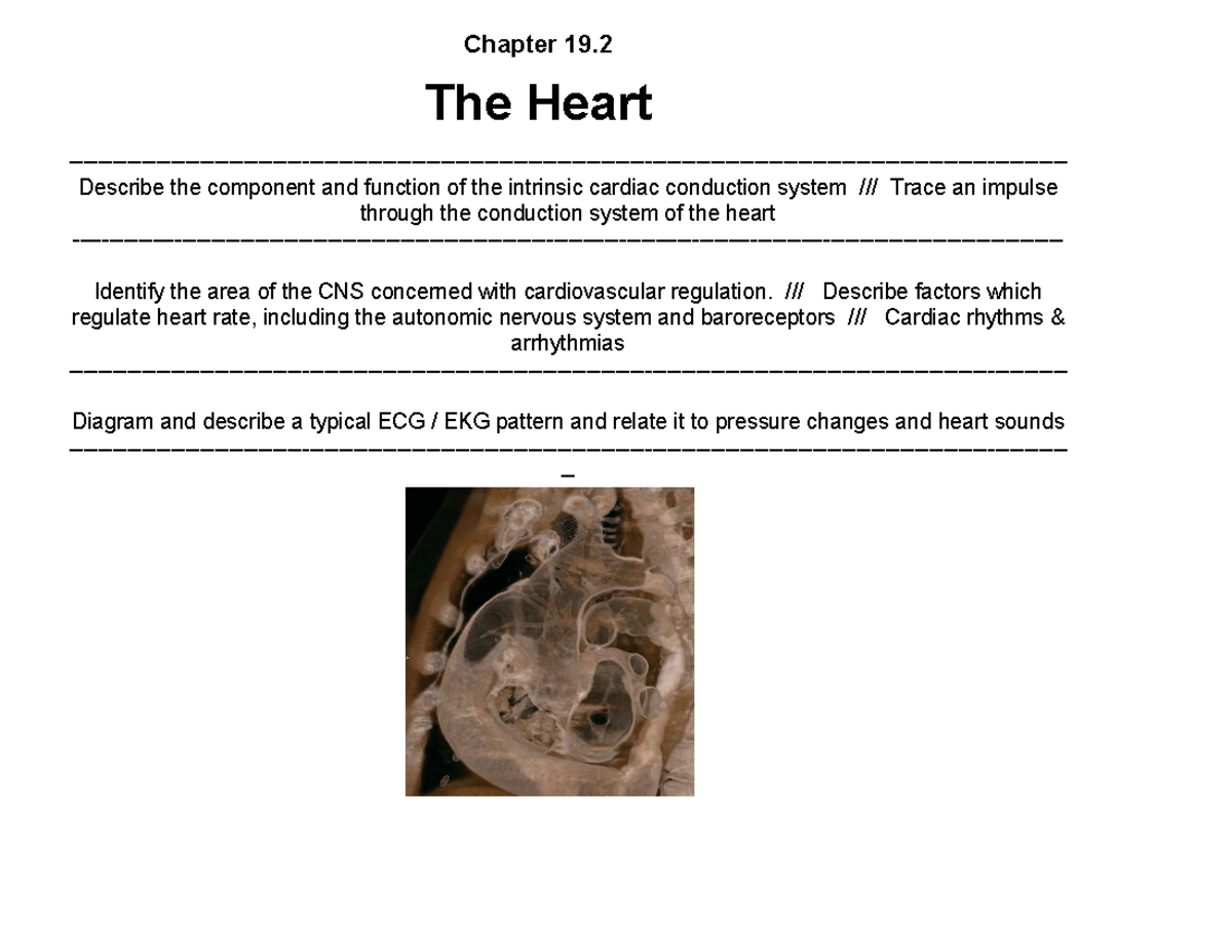 C19 2 heart function F2019 - Chapter 19. The Heart Describe the ...