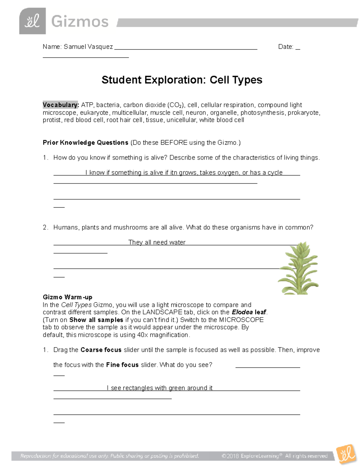 Cell Types SE - Name: Samuel Vasquez Date: Student Exploration: Cell ...