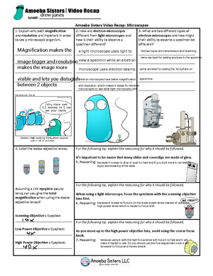 Mitosis Lab Handout NC Bio Network - Using a Microscope to View the ...