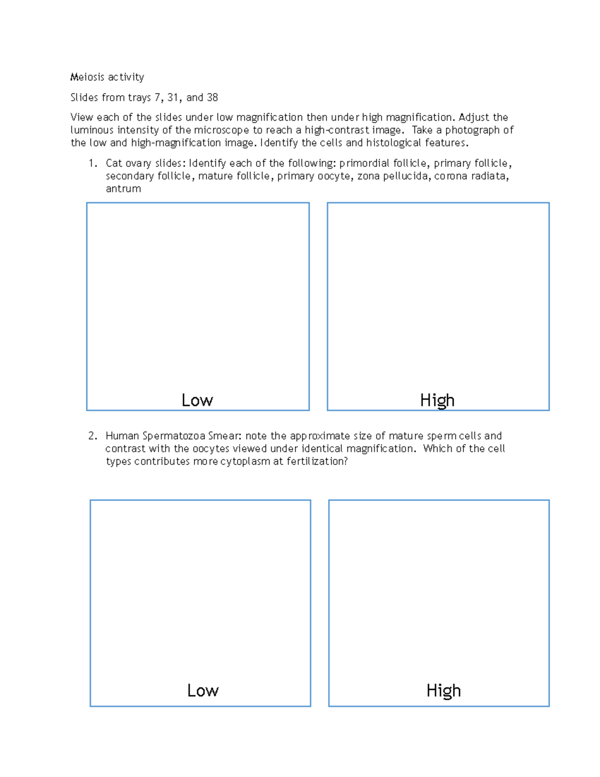 G-BIOL 207L Meiosis activity 2PDF - Meiosis activity Slides from trays ...