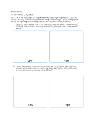 Histology Guide Female PDF - Follicular development. Primordial germ ...