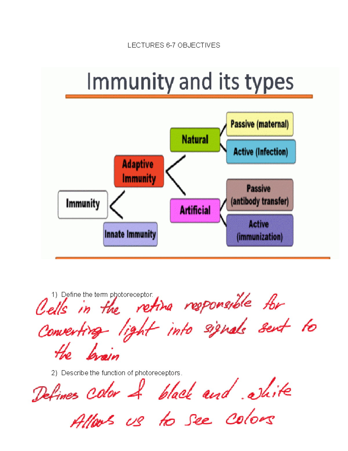 Patho Objectives L 6 7 QUIZ 3 LECTURES 6 7 OBJECTIVES Define The Term