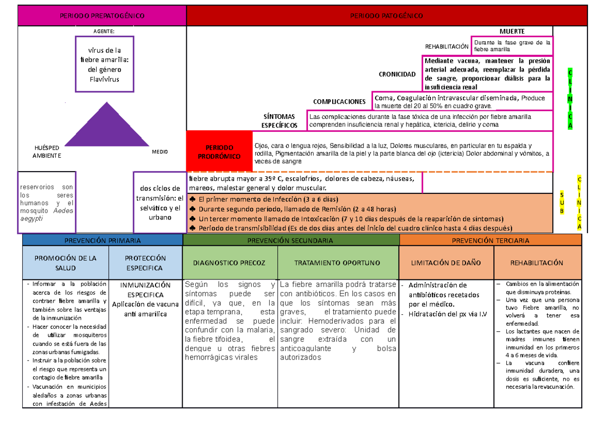 Cuadro DE Enfermedad - PERIODO PREPATOGÉNICO PERIODO PATOGÉNICO AGENTE ...