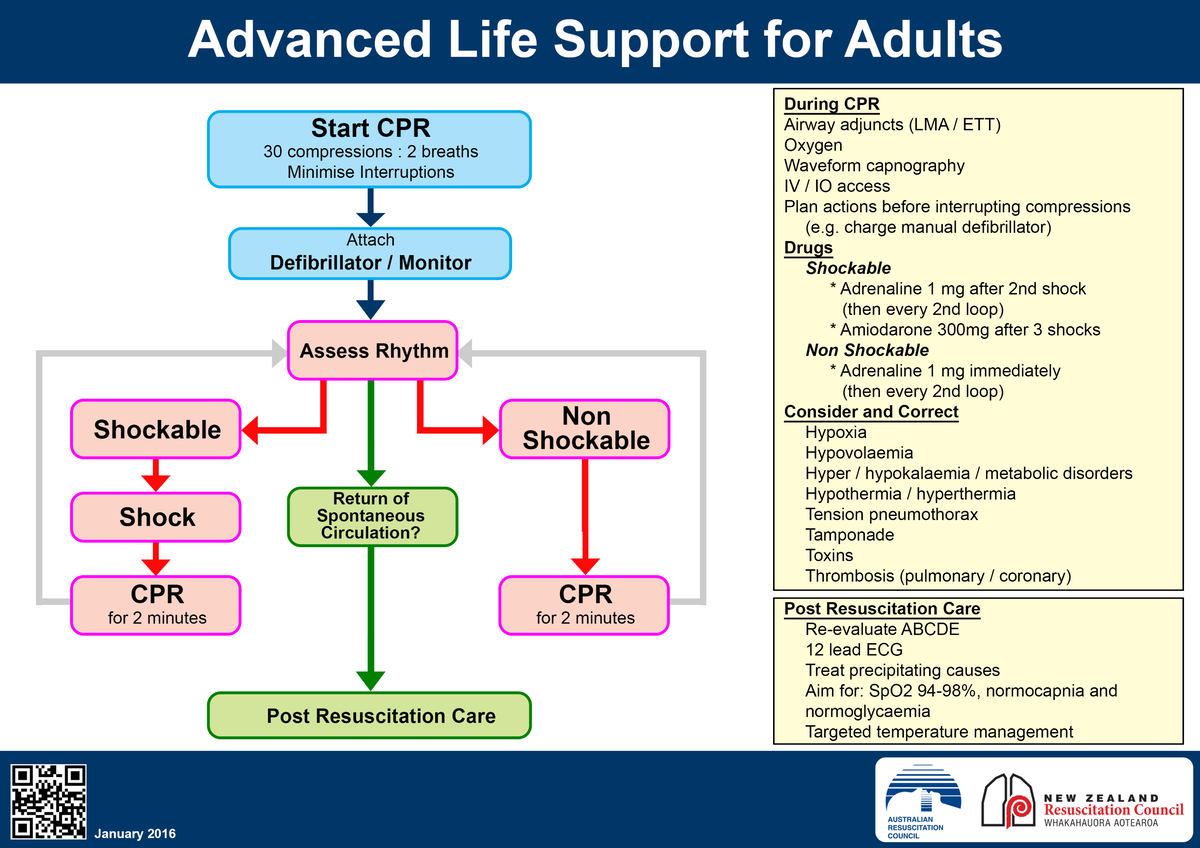 Anzcor-adult-cardiorespiratory-arrest-flowchart-jan-2016 3 - PRM219 ...
