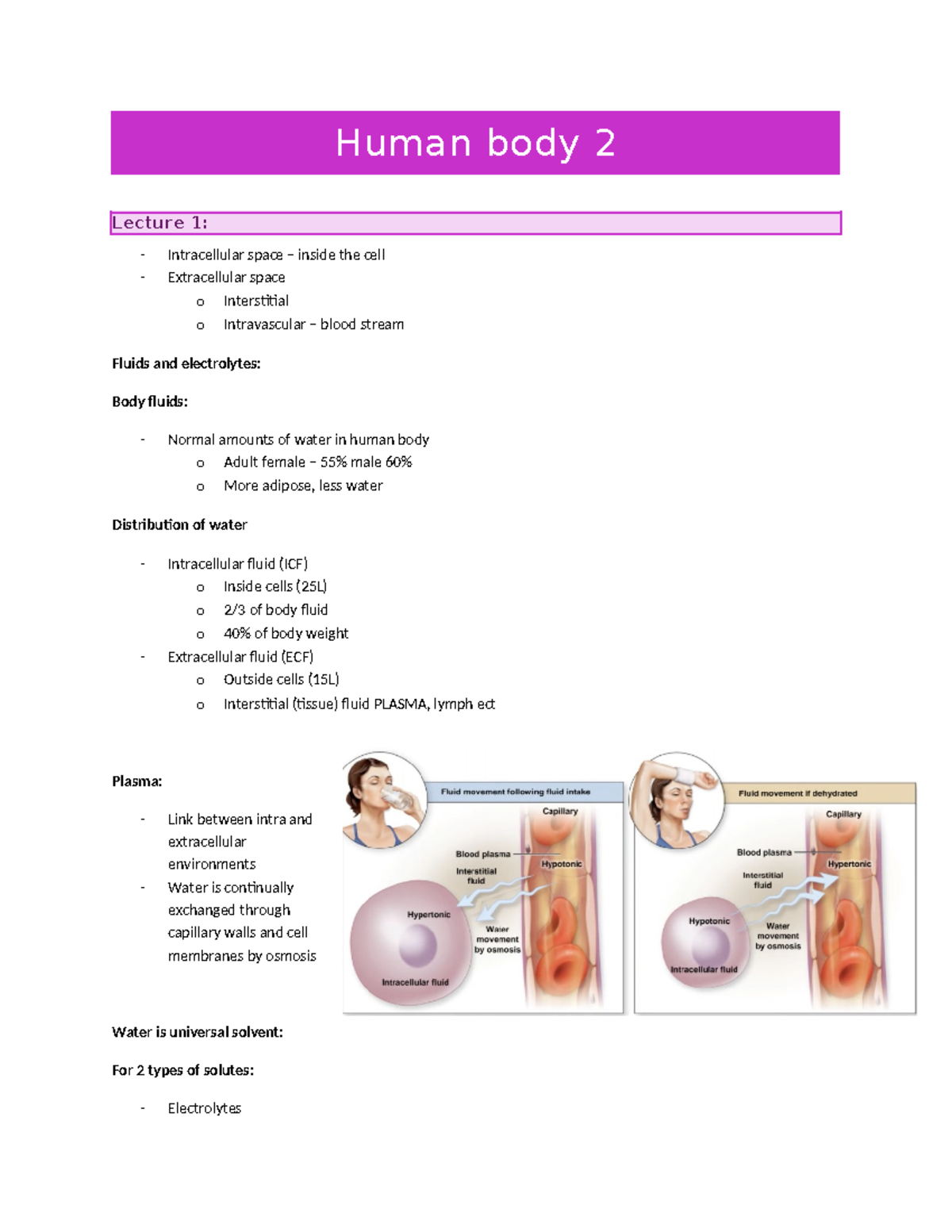 Human body 2 notes - Human body 2 Lecture 1: Intracellular space ...