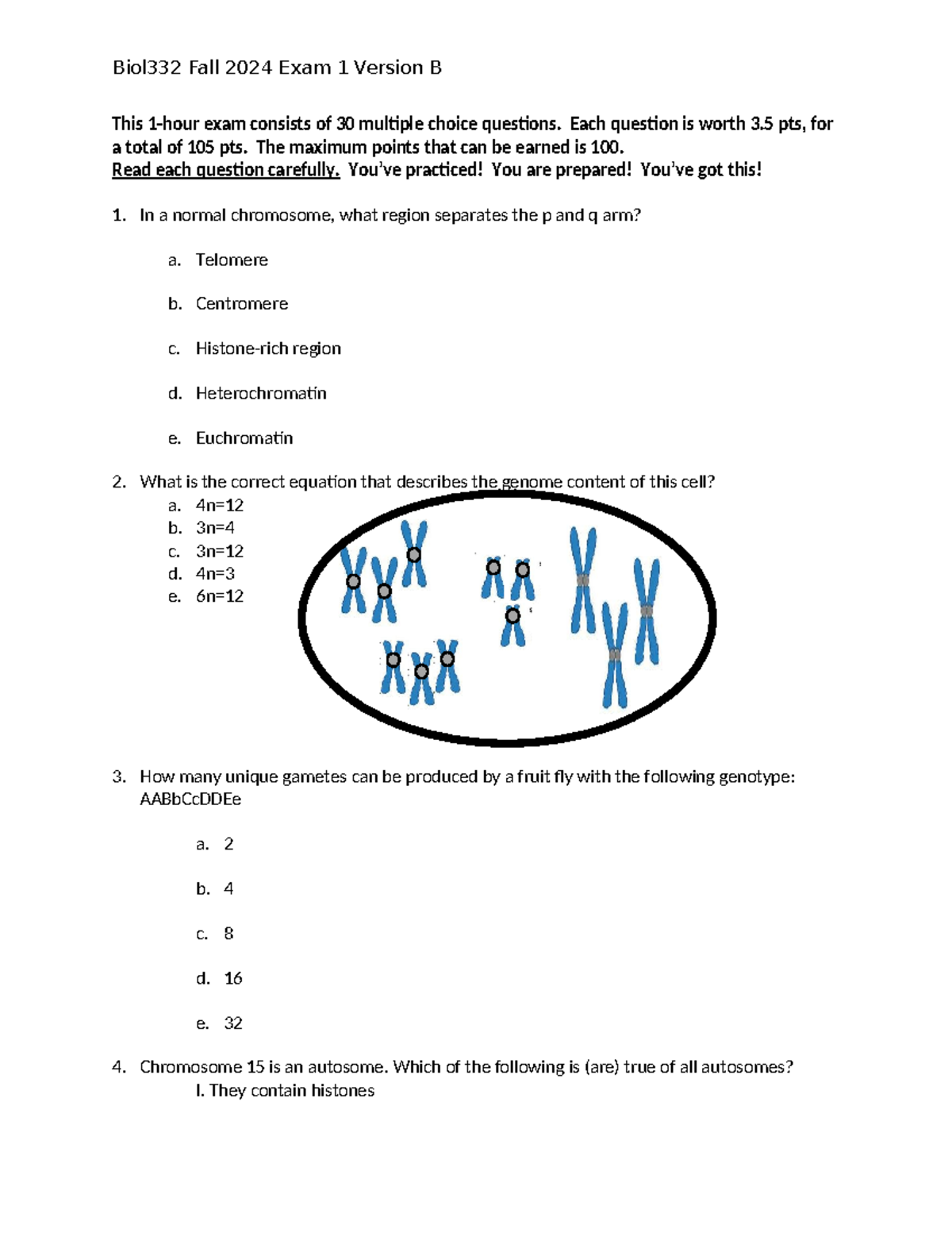 Exam 1 VB - test - This 1-hour exam consists of 30 multiple choice ...