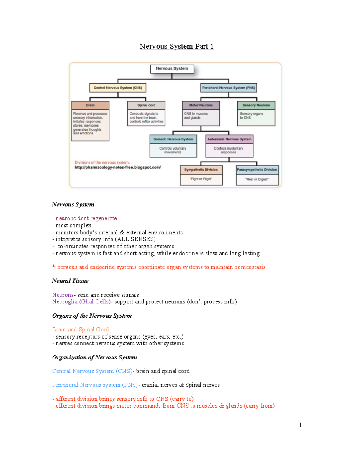 The Nervous System - Nervous System Part 1 Nervous System neurons dont ...