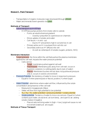 Cardiorespiratory Notes - Important Issues Regarding Gas Exchange ...