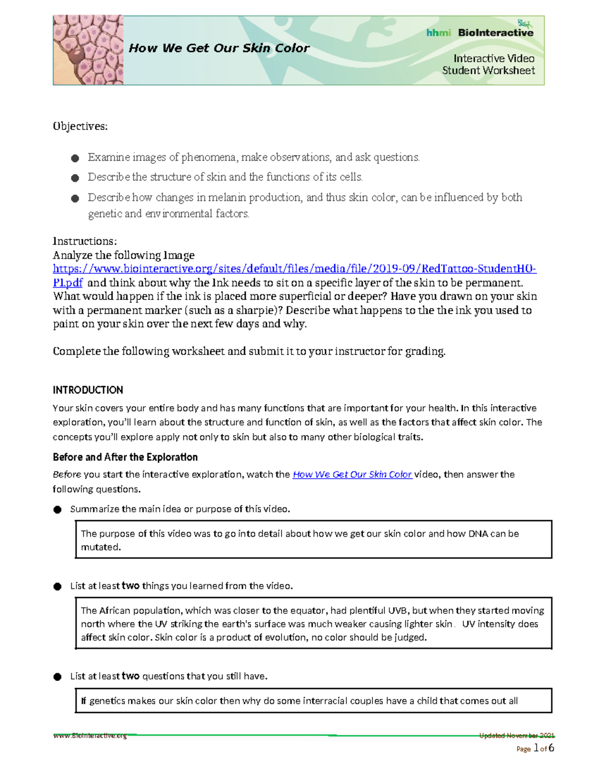 Student Worksheet How We Get Our Skin Color - Interactive Video Student ...