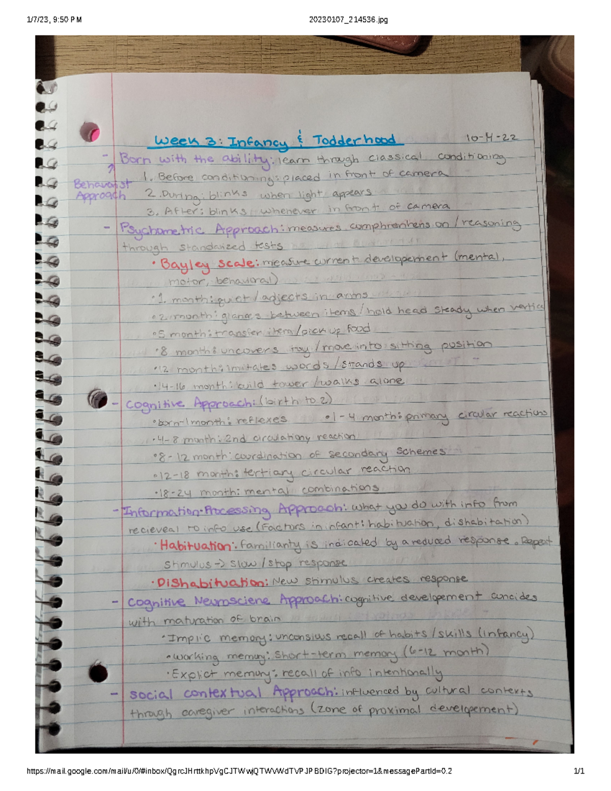 Unit 3 - week three, infancy and toddlerhood with R. Lookadoo - PSY ...