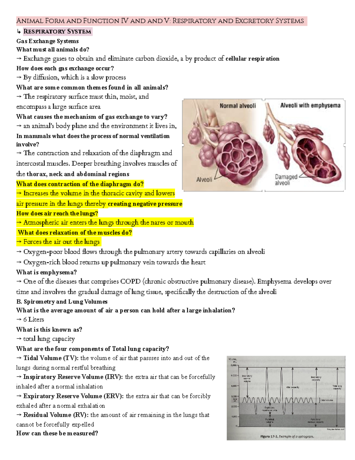Labs 17-18 Study Guide - Animal Form and Function IV and and V ...