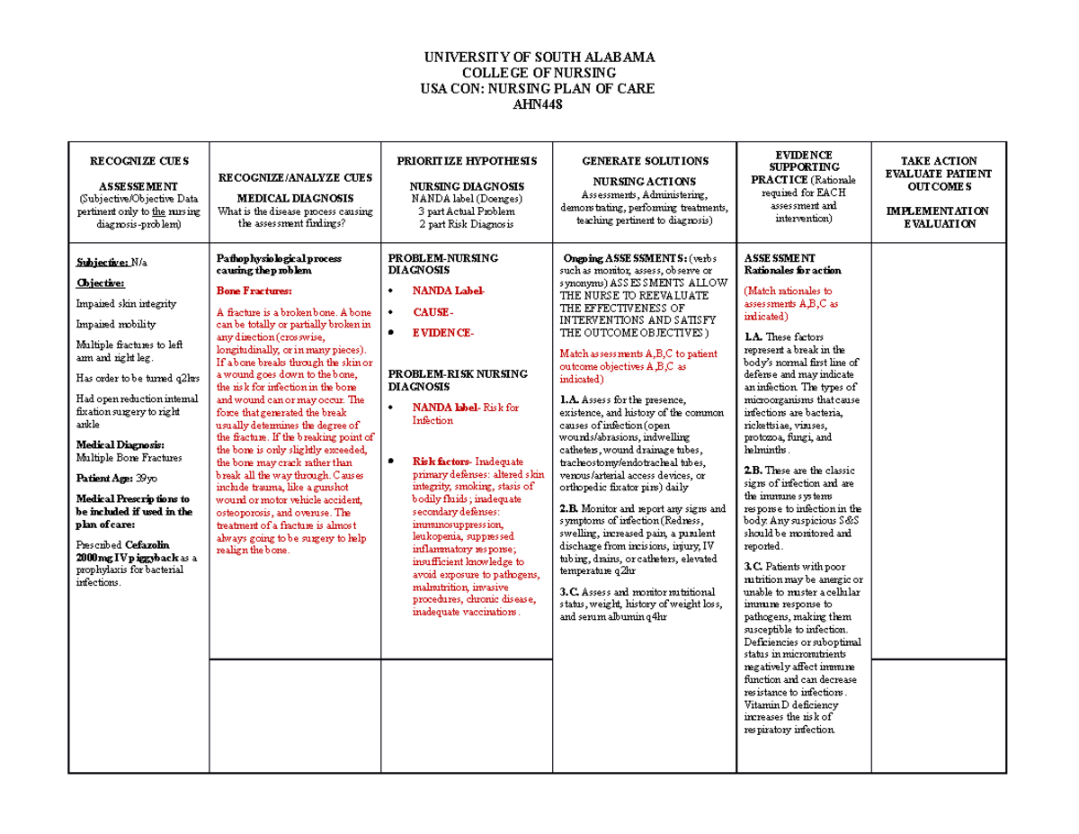 Risk for Infection - careplan - RECOGNIZE CUES ASSESSEMENT (Subjective ...