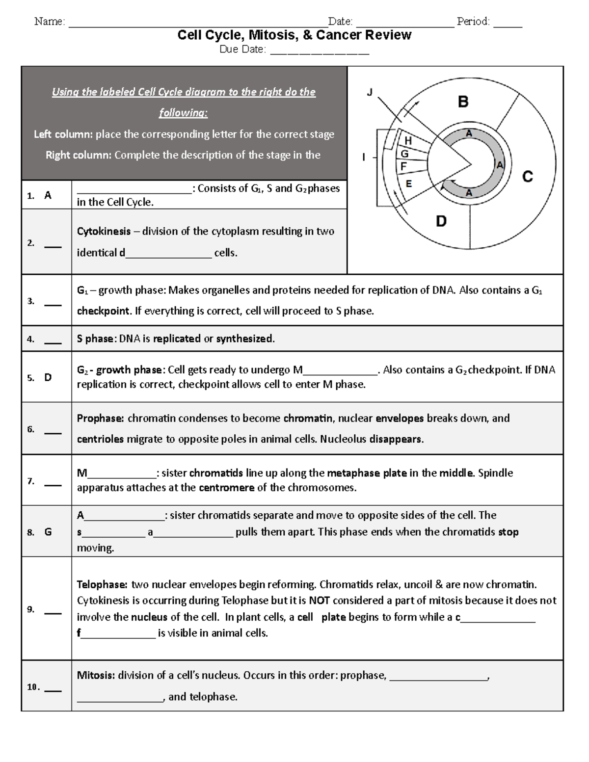 Cell Cycle and mitosis - I am in need of thus answer key because of ...