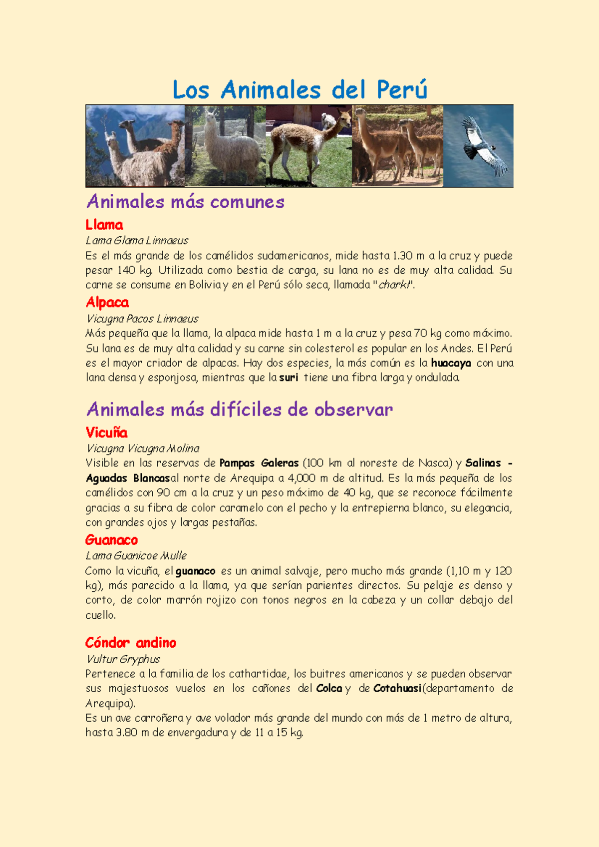 Los animales del PERU - Los Animales del Perú Animales más comunes ...