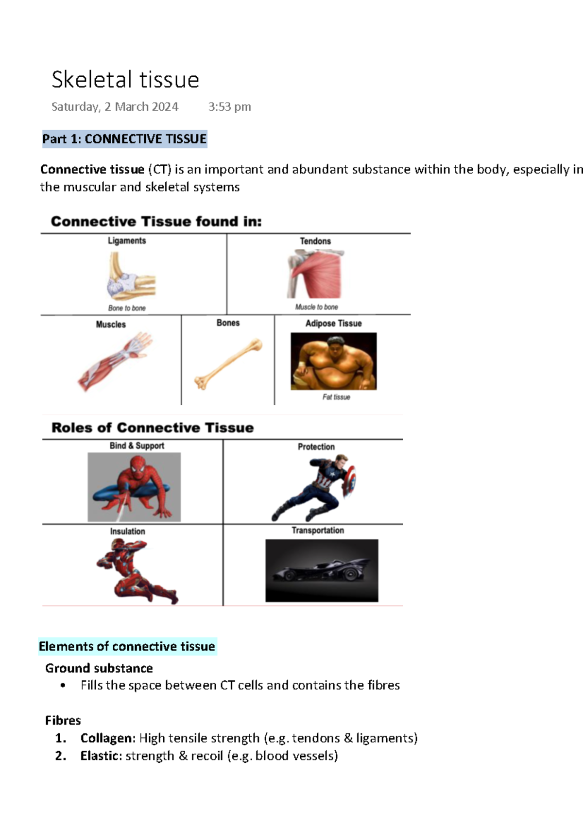 Week 3 - structural anatomy- week 3 lecture notes - Part 1: CONNECTIVE ...
