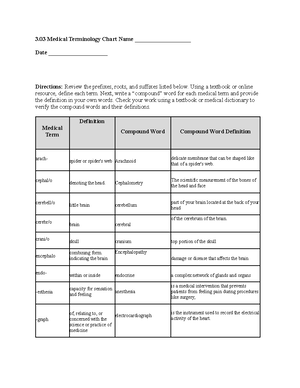 3.02 Structures of the Nephron Note Guide - PowerPoint Presentation ...