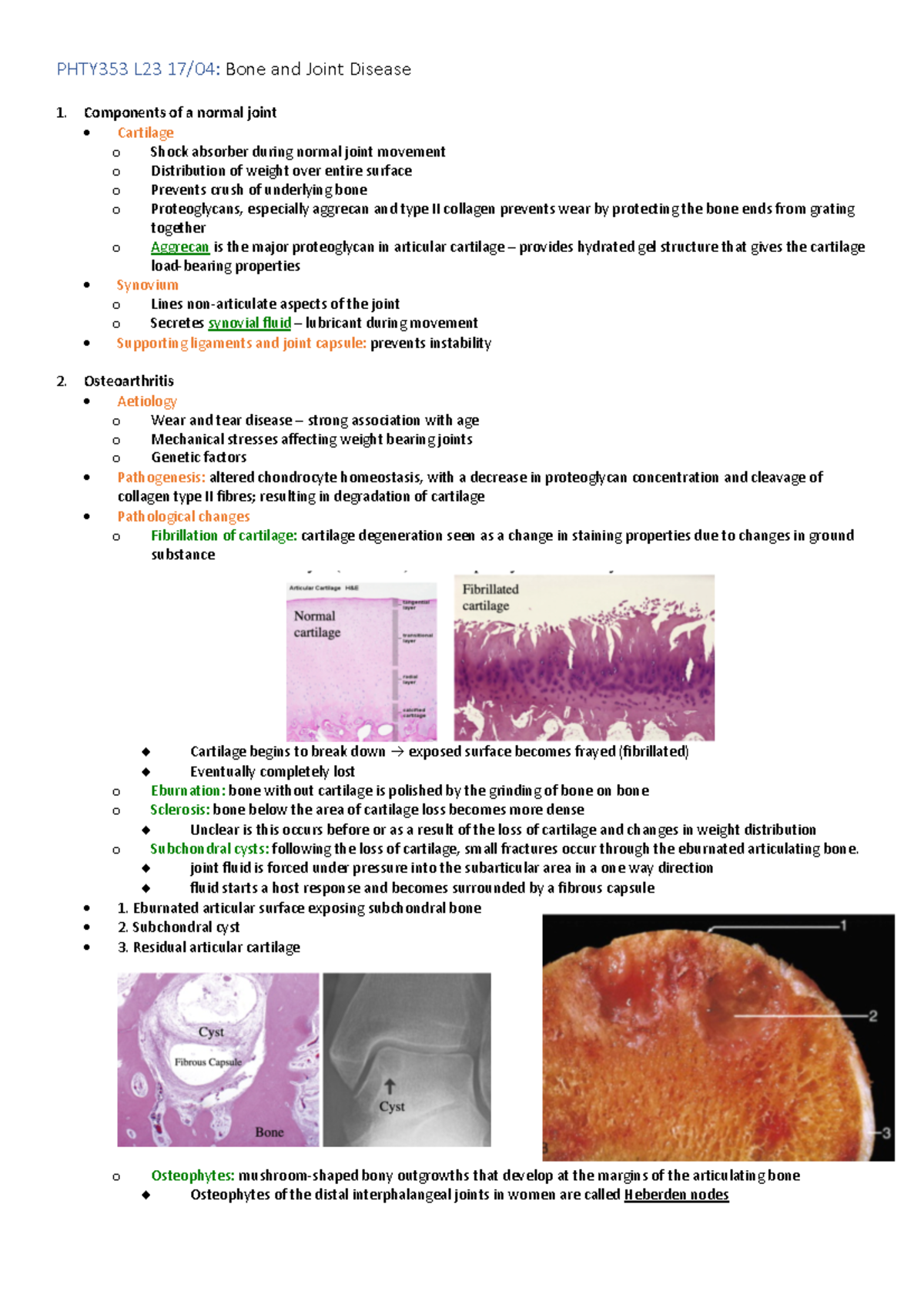 Pathology for Physiotherapy Lecture 23 - Warning: TT: undefined function: 32 PHTY353 L23 17/04 ...