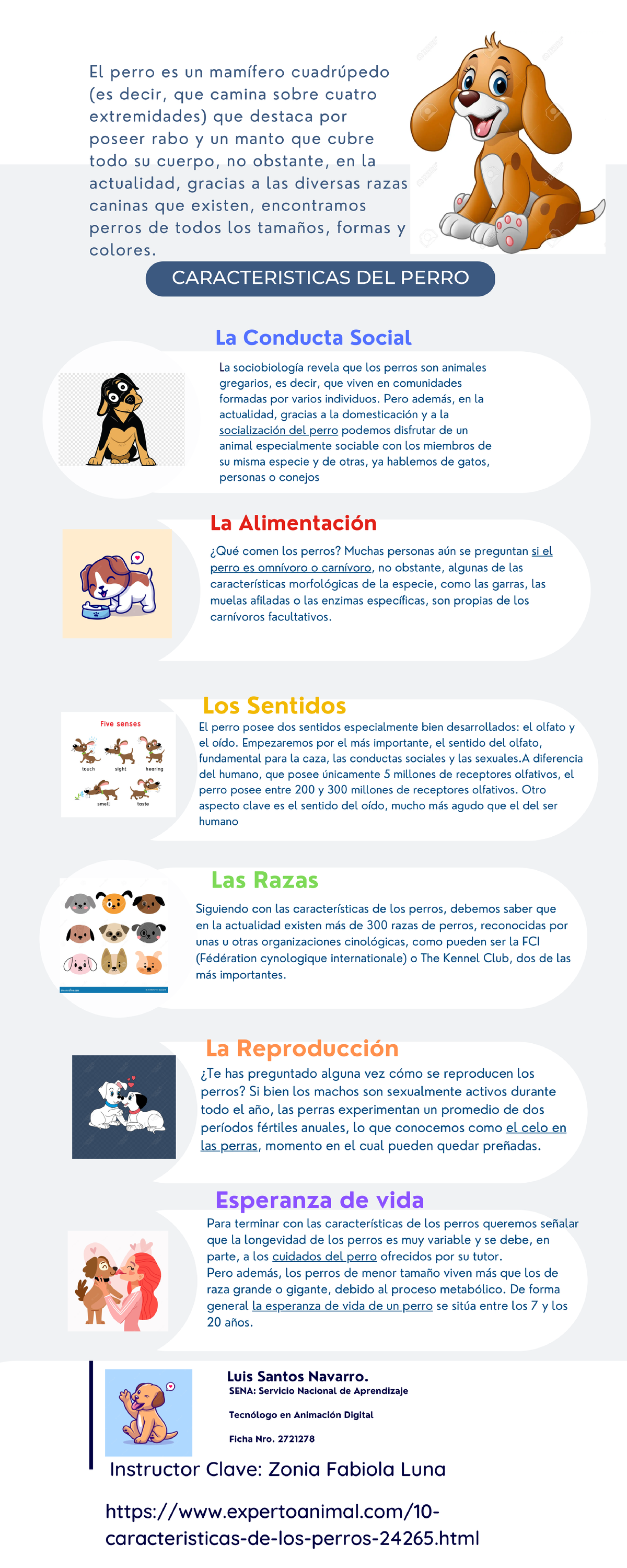 Infografia del perro - Animación Digital - Studocu