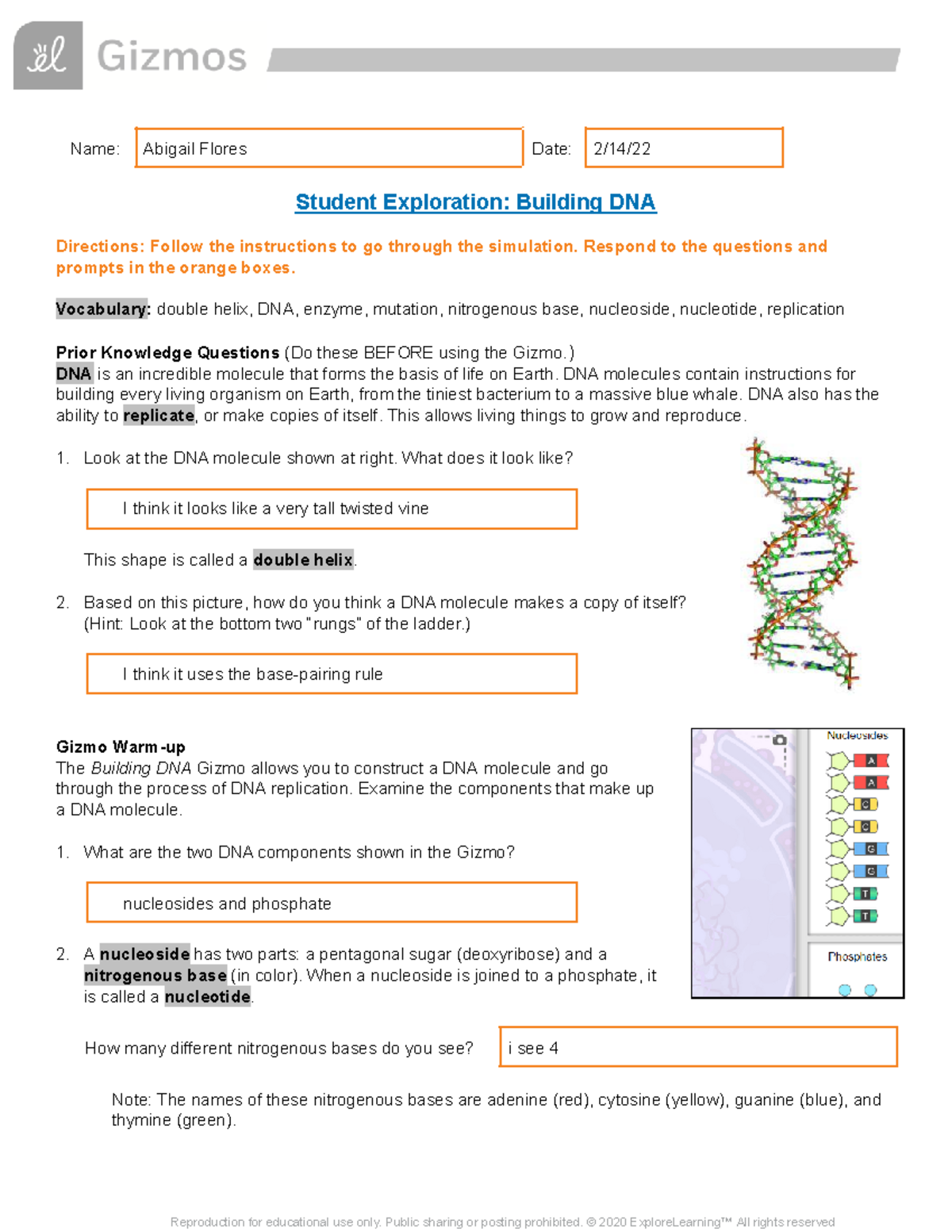 Copy of Building DNA and work sheet and helps with knowing better ...