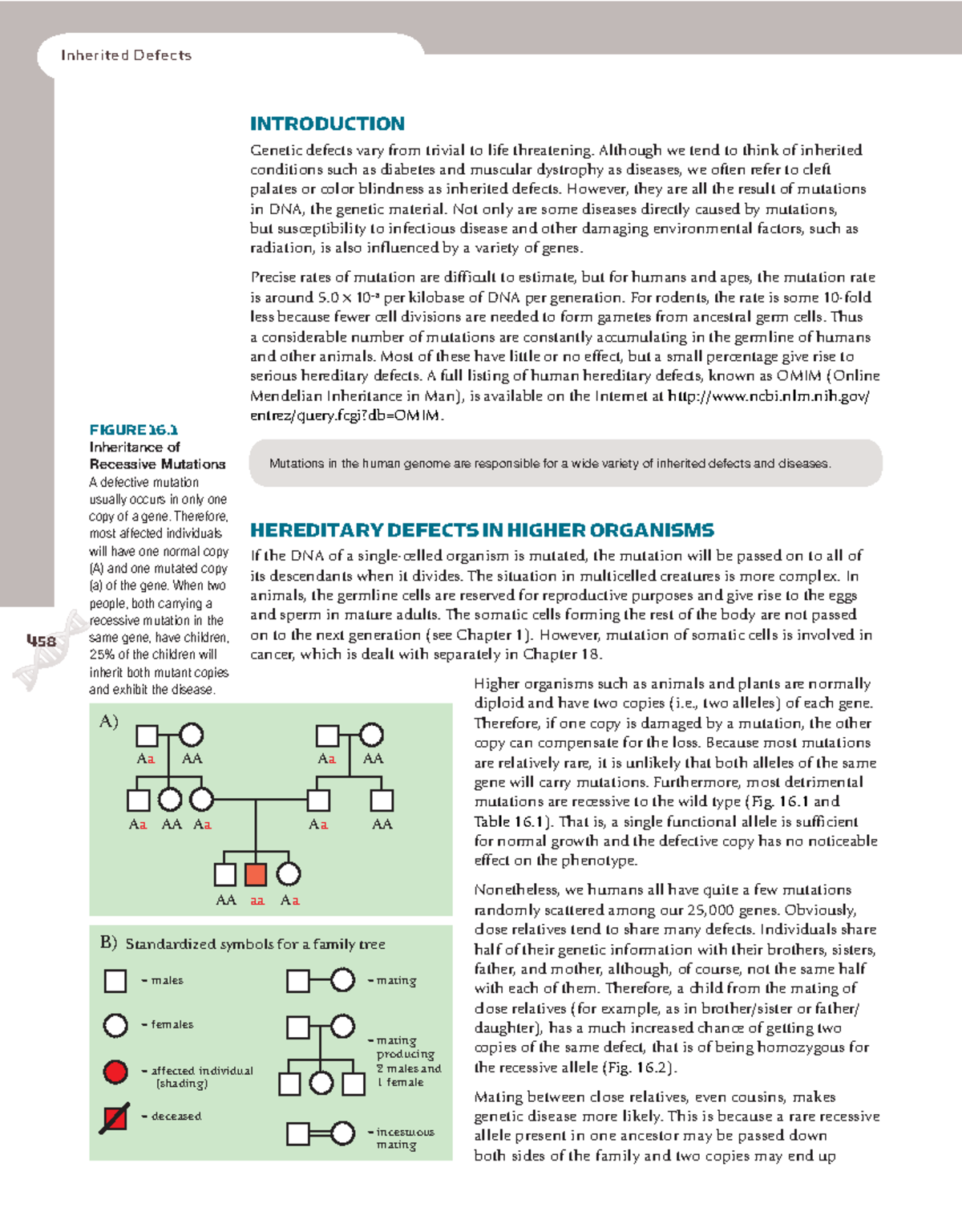 Inherited Defects - Inherited Defects 458458 INTRODUCTION Genetic ...